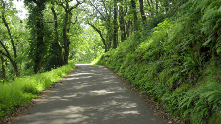 PORLOCK WEIR | Walking in and around Porlock Weir | Exmoor Coast, West ...