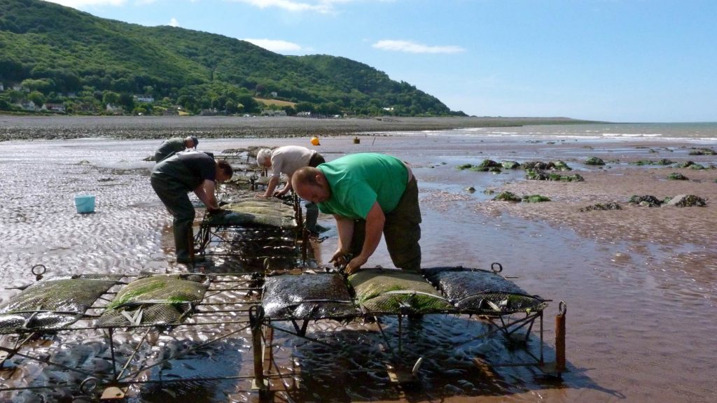 PORLOCK WEIR | Eat In & Around Porlock Weir | Exmoor Coast, West Somerset